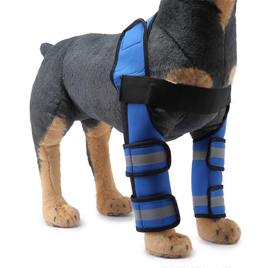 Dog Leg Brace Front Dog Knee Guard Dog Elbow Sleeve Protector Anti ...