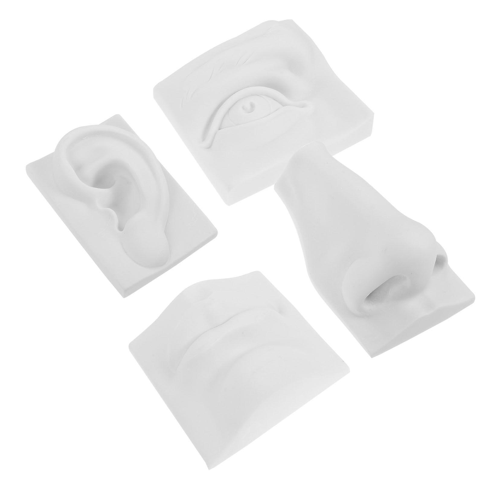 1 Set of Gypsum Facial Features Sculpture Model Sketch Drawing Practice ...