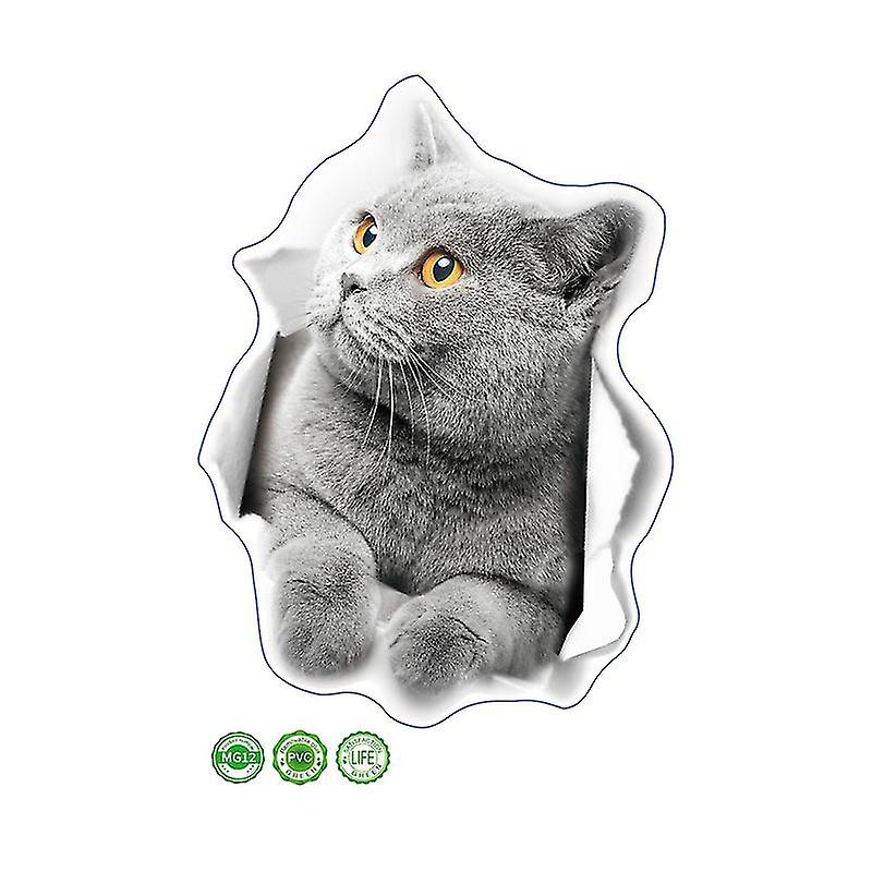 British Shorthair Cat Wall Decals British Shorthair Cat Toilet Sticker ...
