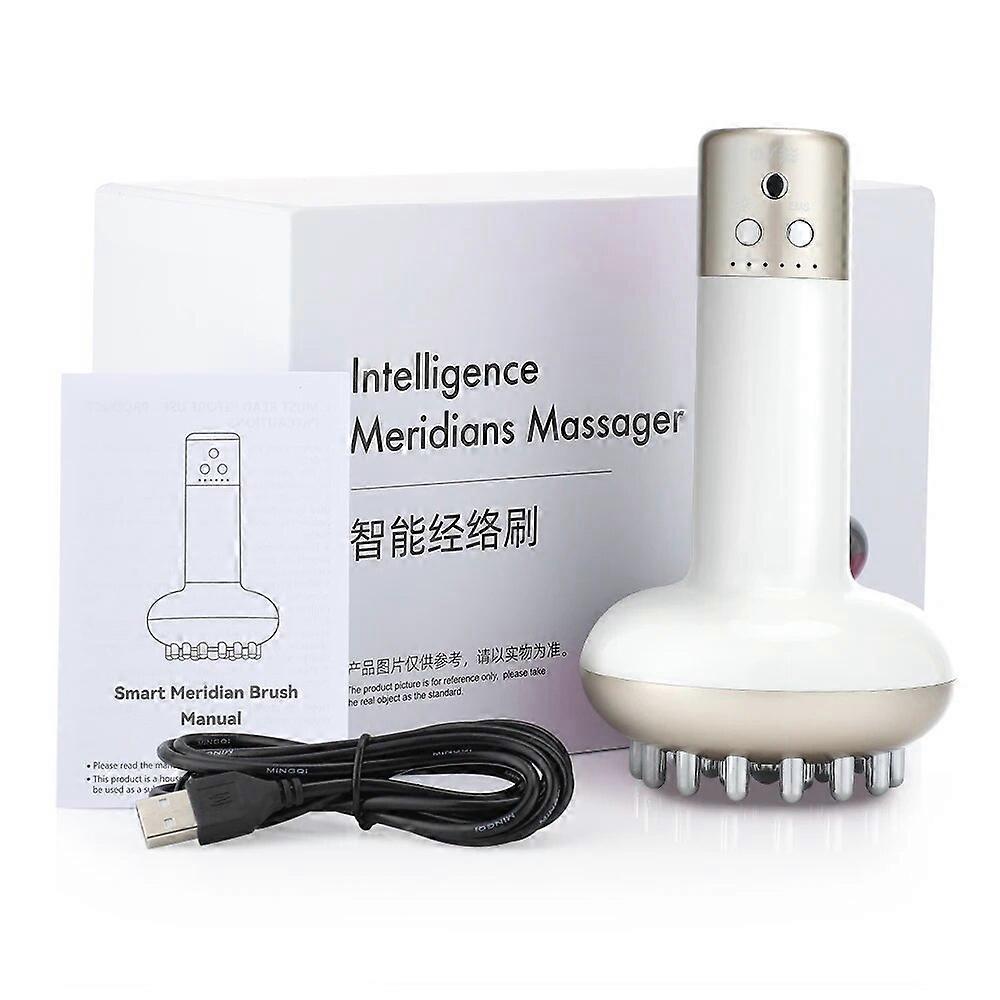 Electric Lymphatic Drainage Machine Meridian Body Massage Brush ...