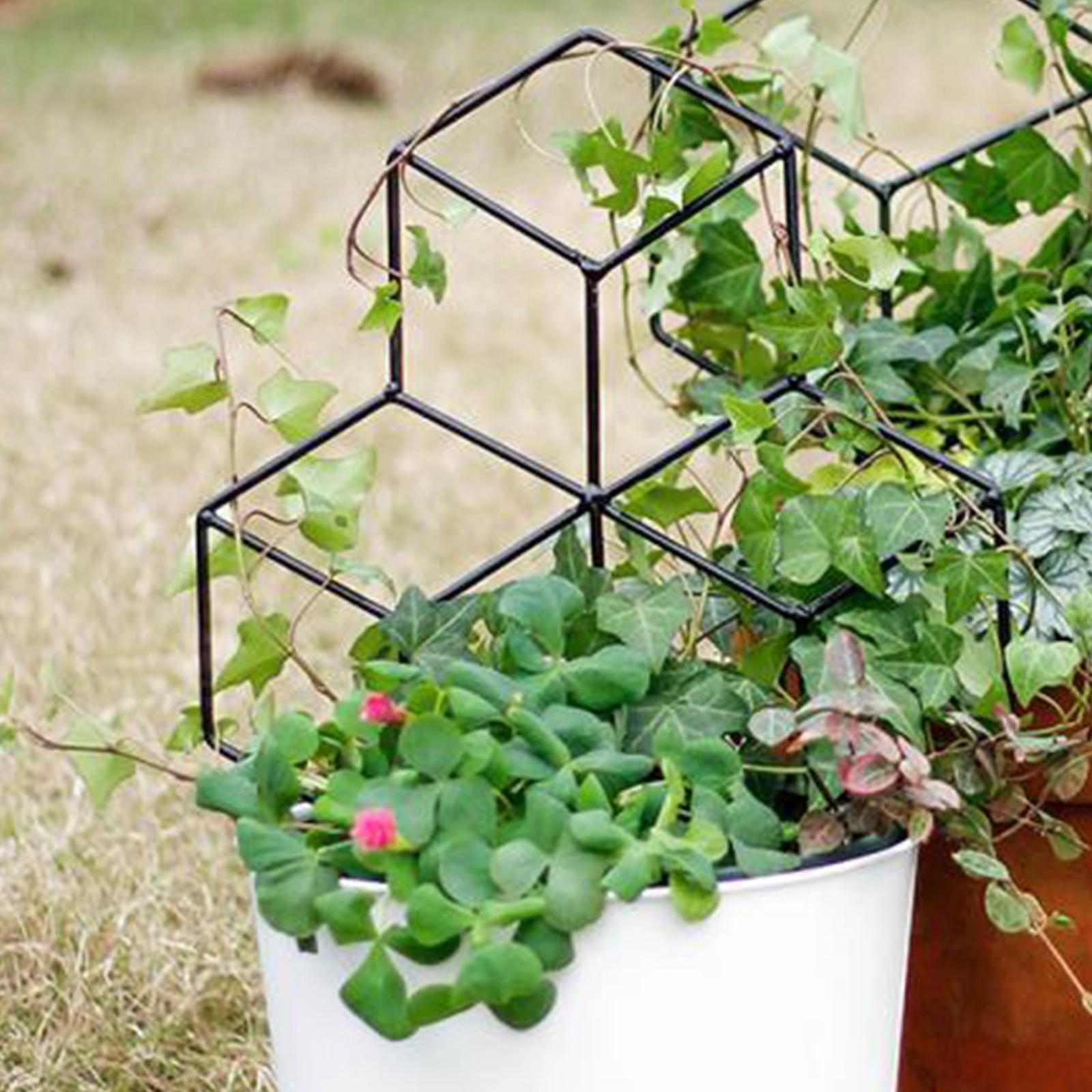Lattice-shaped Plant Trellis For Diy Potted Climbing Plants Support ...