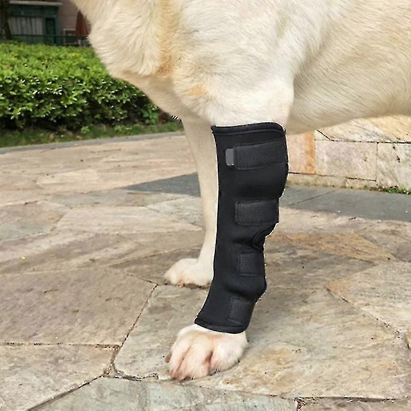 Dog Leg Brace Hock (ankle) Joint Support | Helps With Hind Leg Injuries ...
