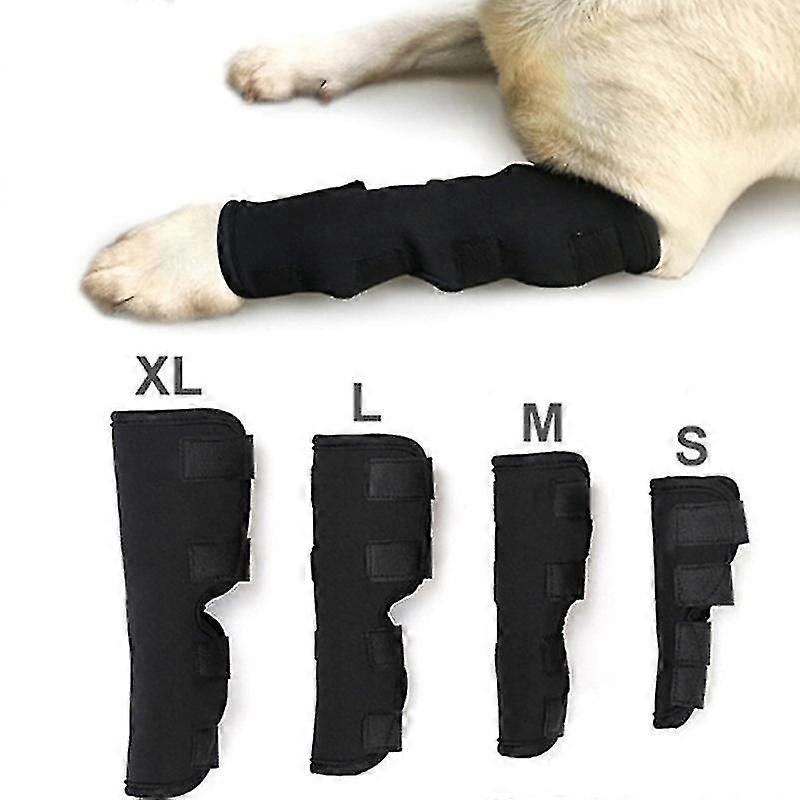 Dog Leg Brace Hock (ankle) Joint Support | Helps With Hind Leg Injuries ...