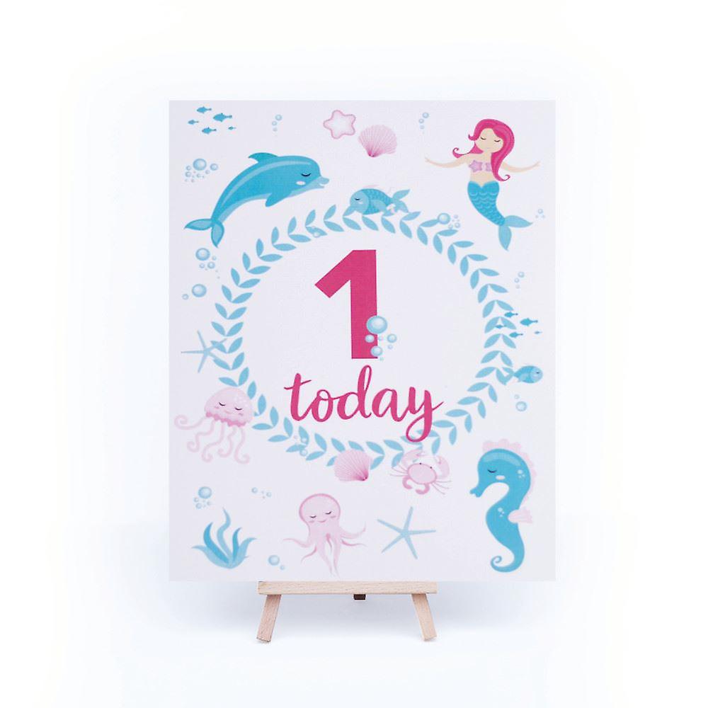Zeemeermin 1e Verjaardag Tafel Bord & Ezel | Meisjes onder de zee feest ...