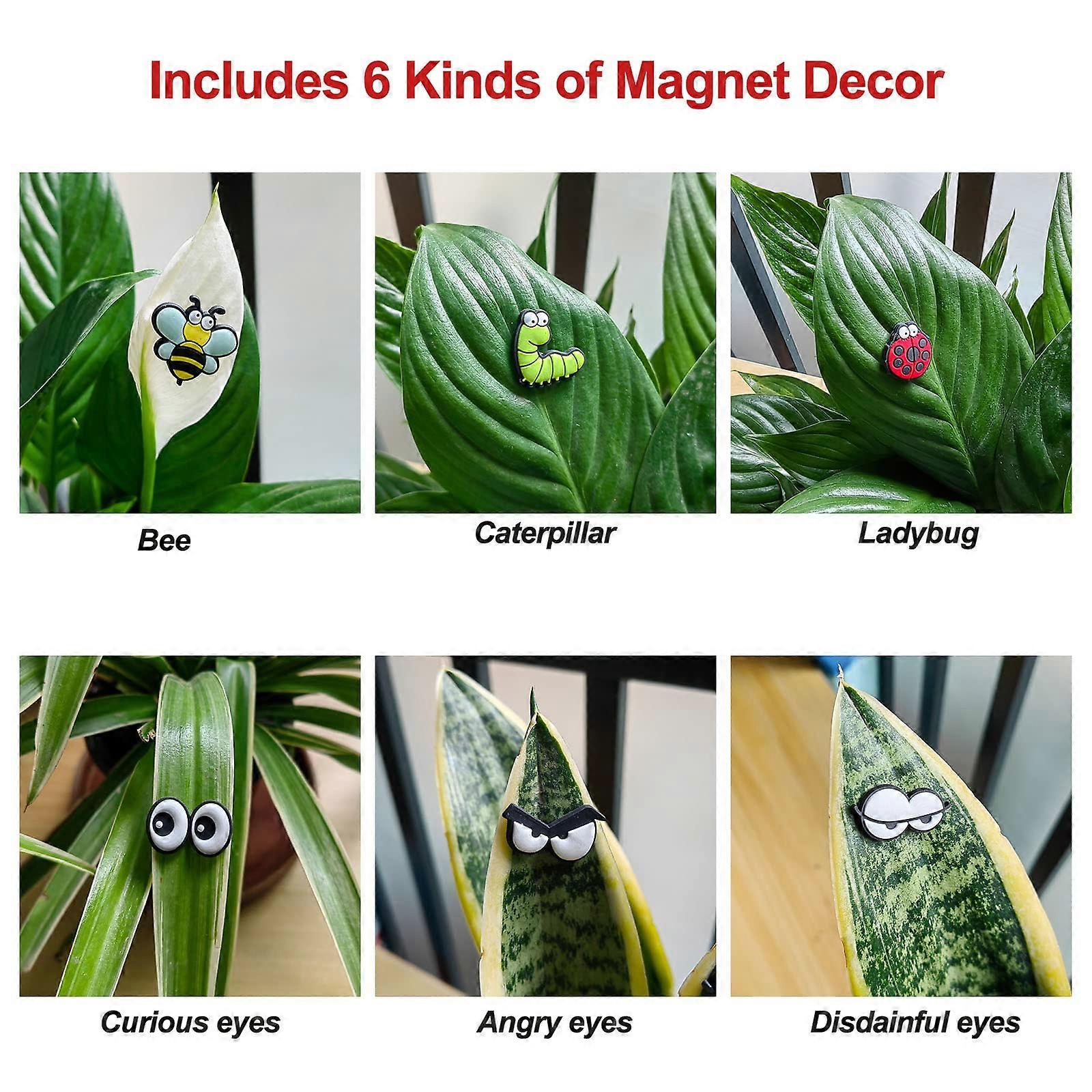 Cute Plant Magnets Eyes for Potted Plants, Plant Safe Magnet Pins ...