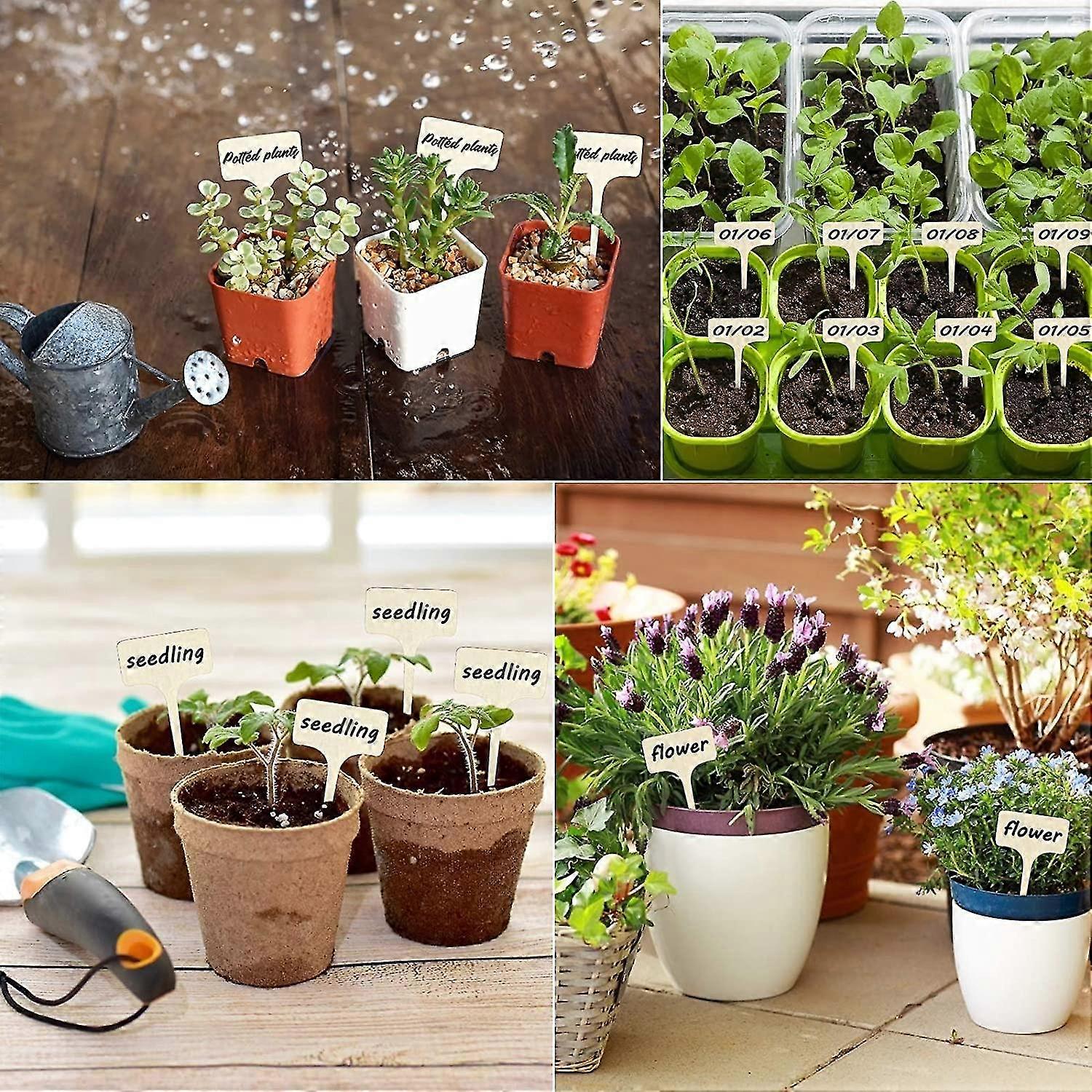 50 Durable Plant Tags, T-shaped Wood Plant Tags, Waterproof Garden Tags ...
