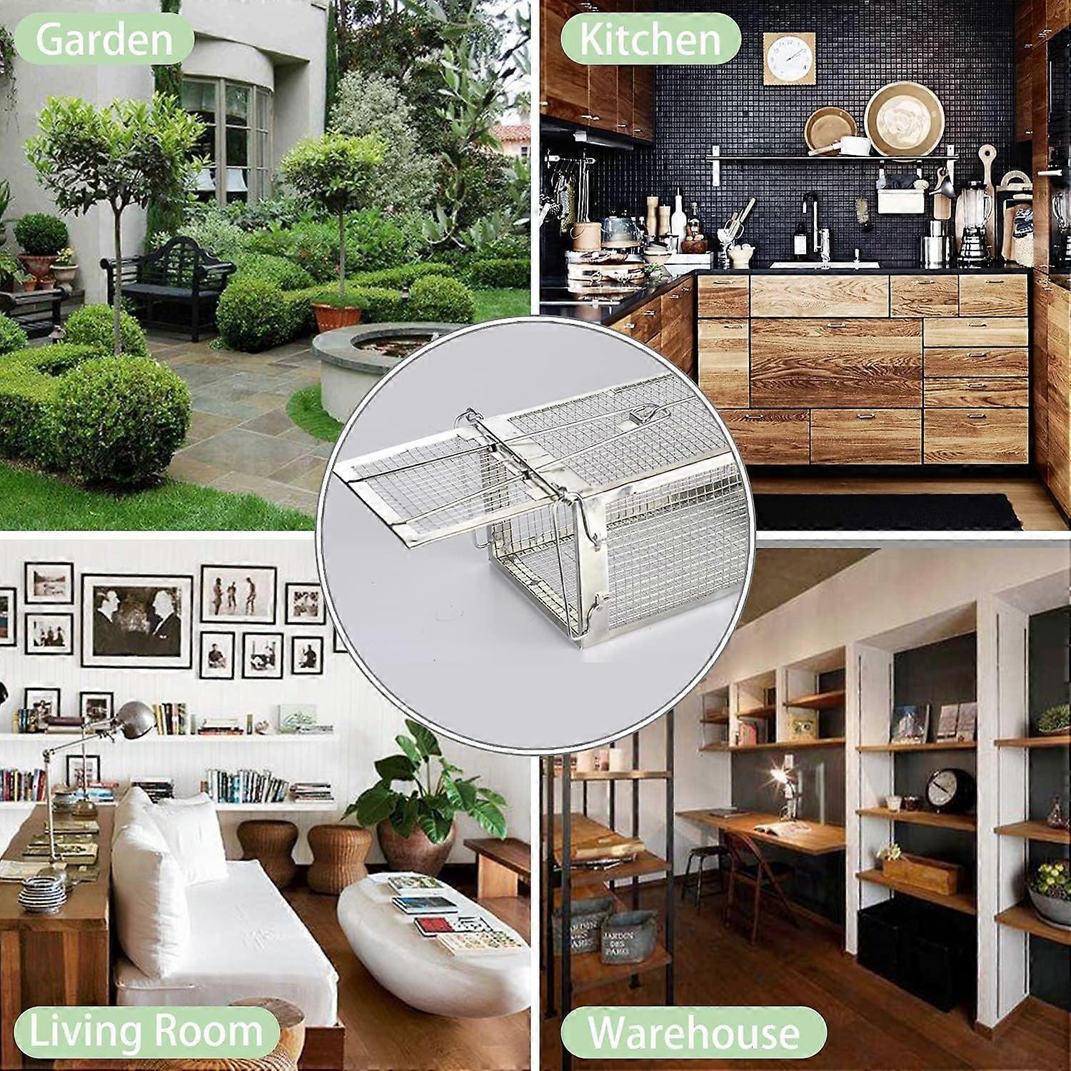 Catch Trap, 2Pcs Catch Trap Cage, Reusable Rat Trap for Catching Mice ...