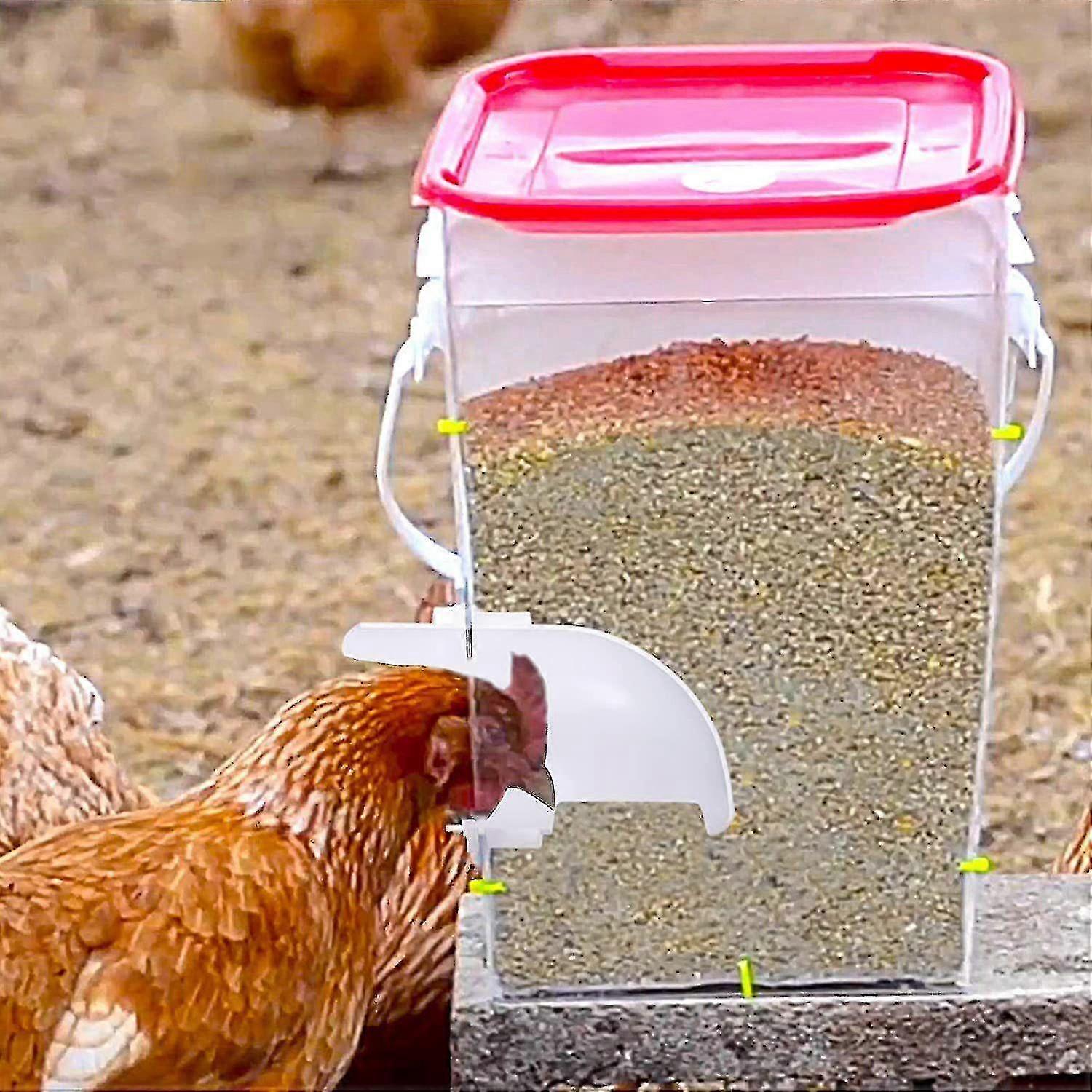 No Waste Chicken Feeder With Rat Stopper Caps,diy Poultry Feeder_gift ...