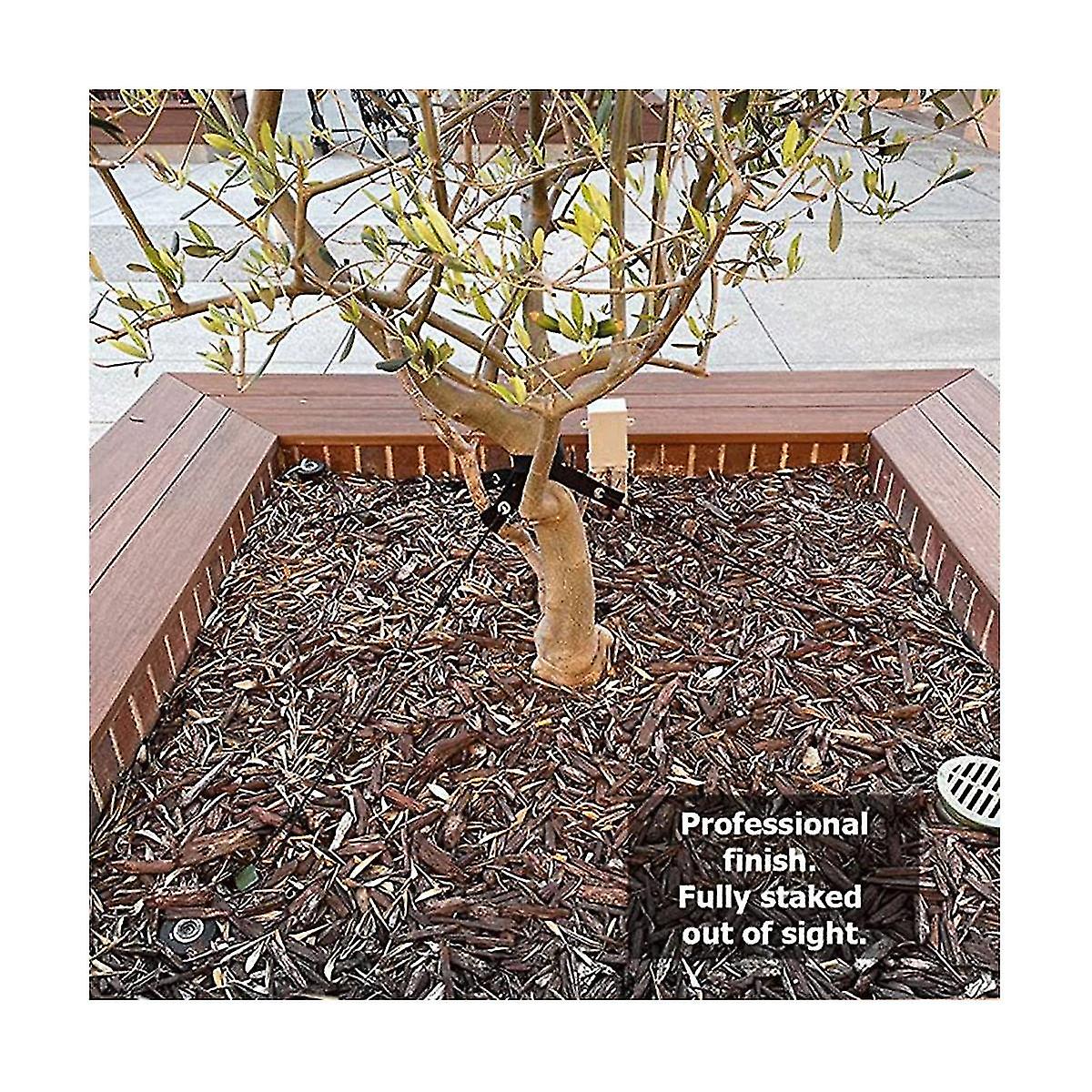 Tree Stakes, Tree Stakes And Supports For Young Trees, Tree ...