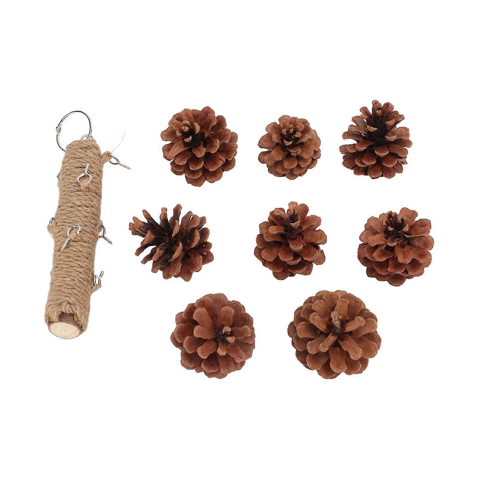 Birds Bite Toy Wooden Pine Cone Hanging Parrots Beak Grinding Toy with ...