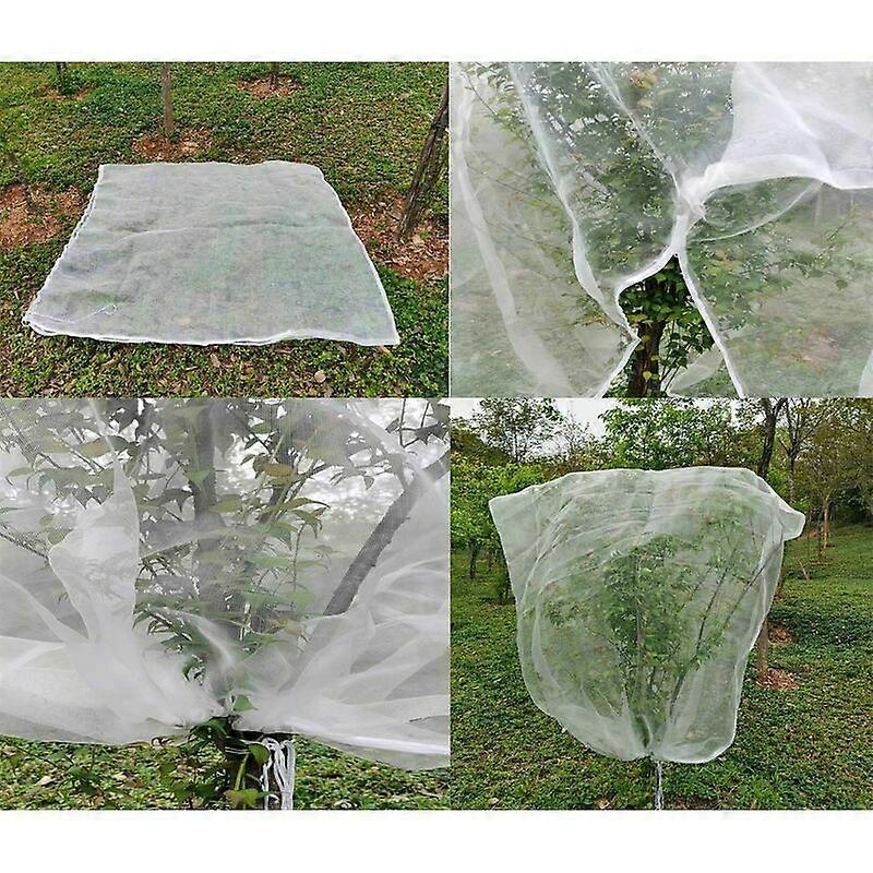 Fruit Tree Netting 1.8m X 1.8m, Plant Insect Netting, Fine Mesh Insect ...