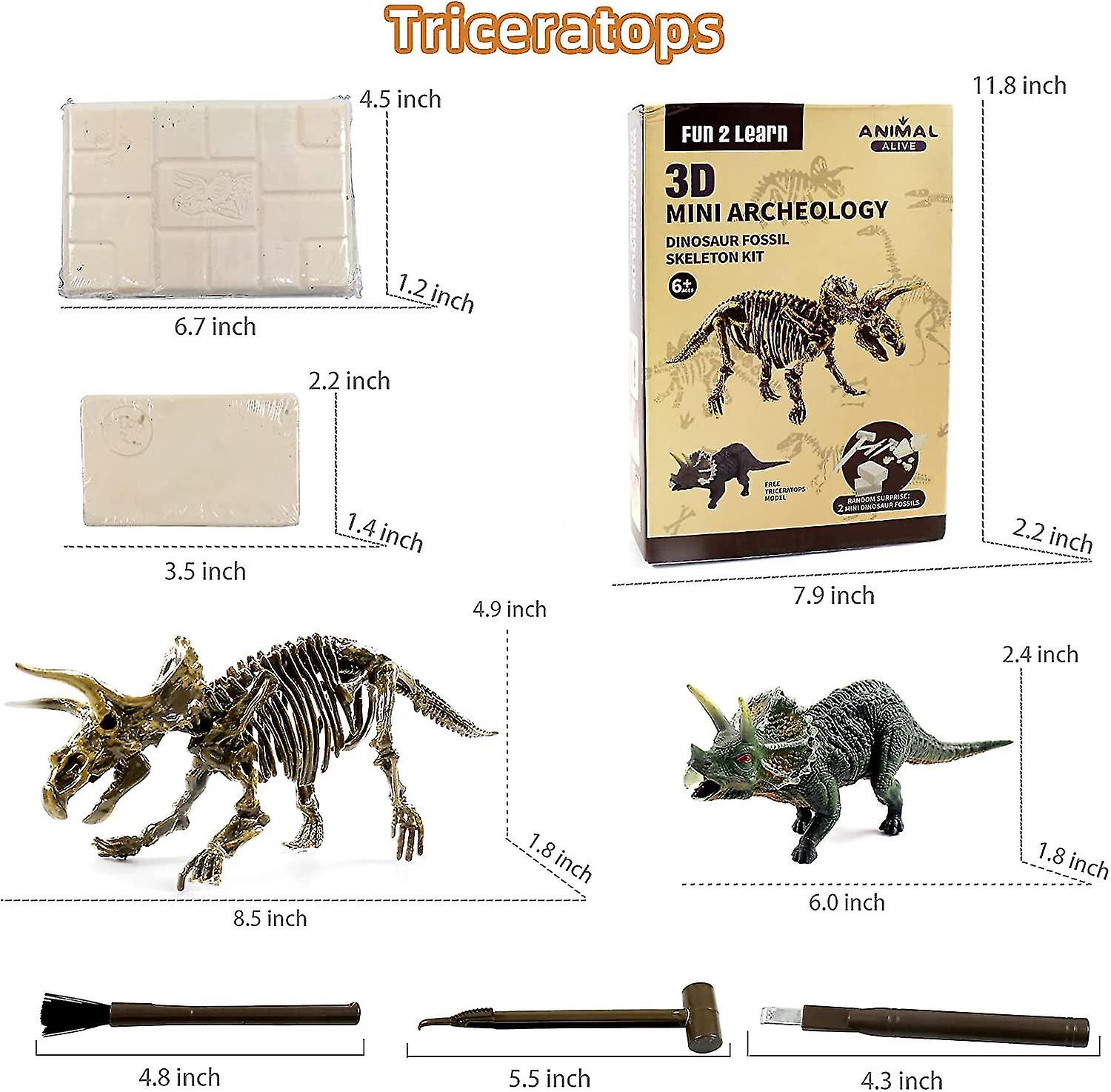 Paleontology Science Archaeological Dinosaur Fossils Toy Dinosaur ...