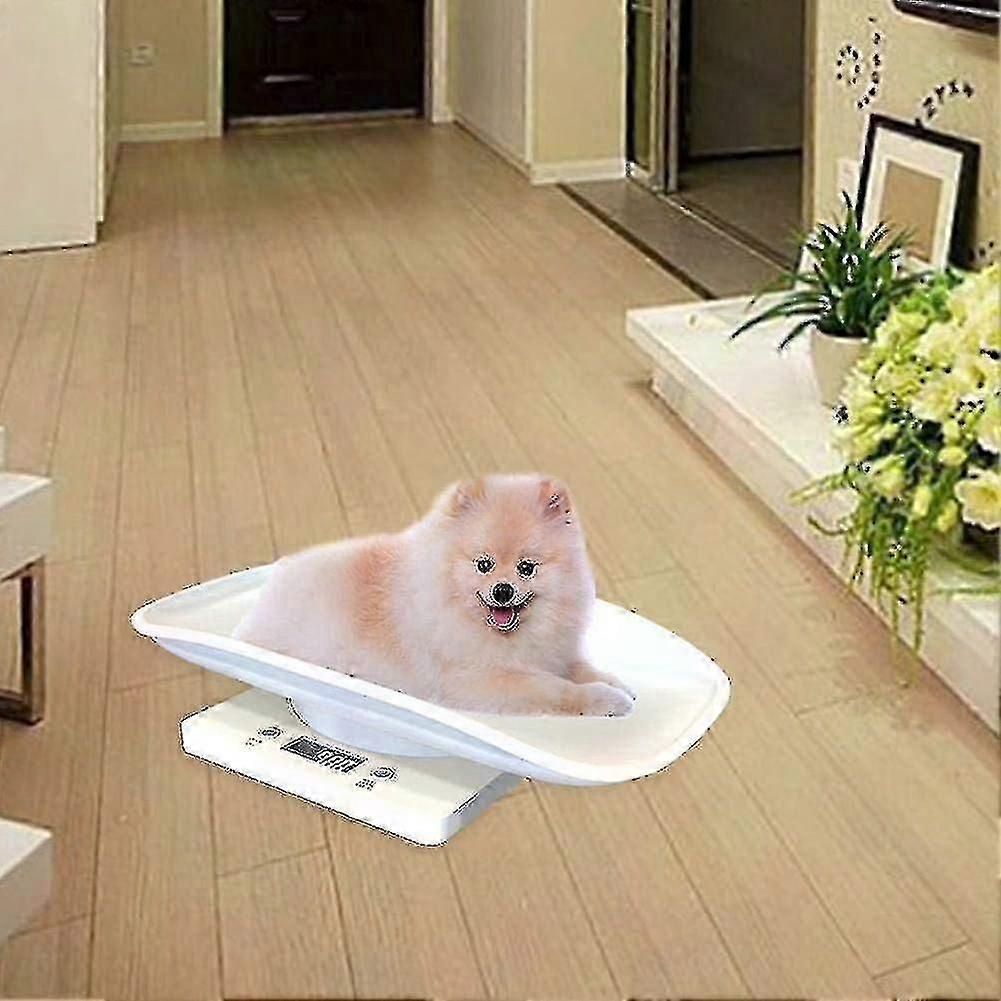 Digital Scale for Babies and Pets - Accurate Measurement Up to 10kg ...