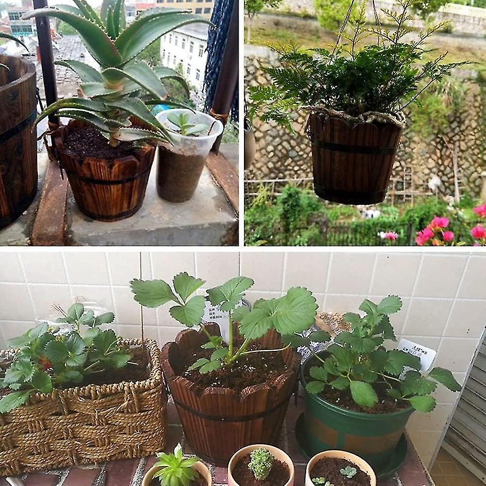 Wooden Barrel Planter, Round, Natural, Handmade, Safe For The Human ...