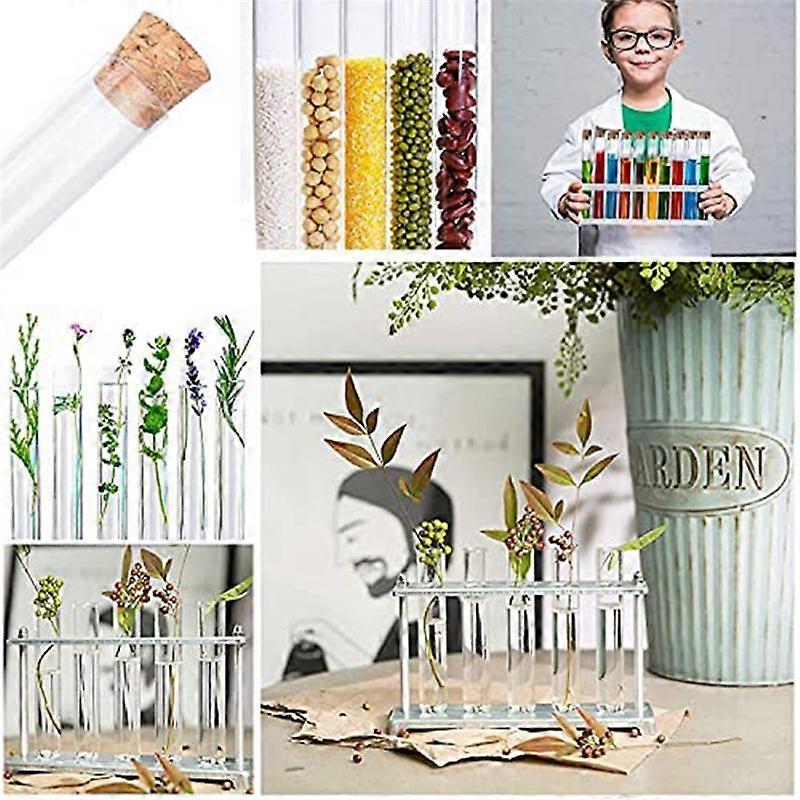 Pack of 40 Plastic Test Tubes with Corks 20Ml Test Tubes for Flowers ...