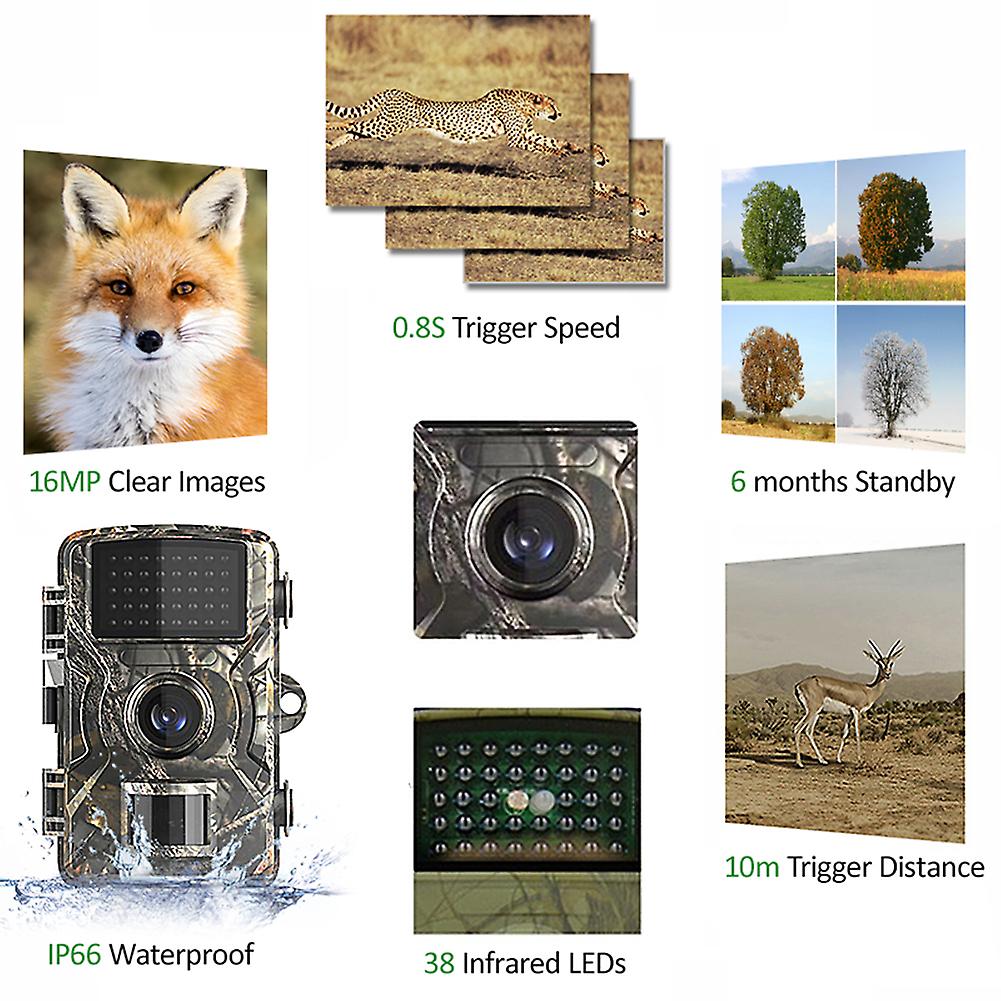 Trails Camera 1080P Game Huntings Cameras with Night-Vision Motion ...