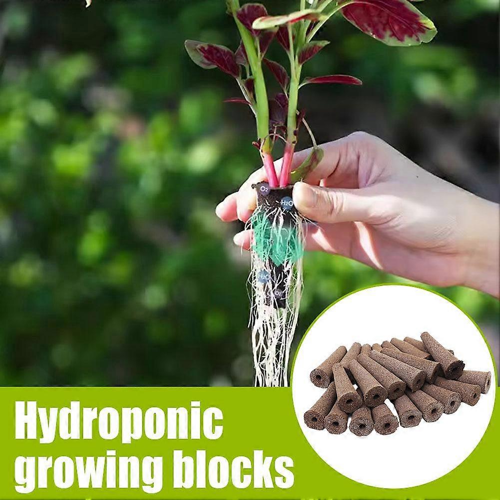 50 Pack Grow Sponges Starter Pods Root Growth Sponge Plug For ...
