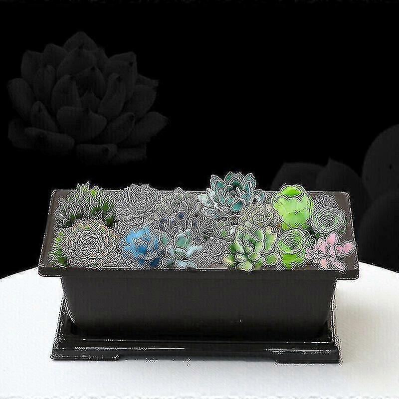 Large Flower Pot Rectangle Bonsai Nursery Planter 29x21x10.5cm | Fruugo UK