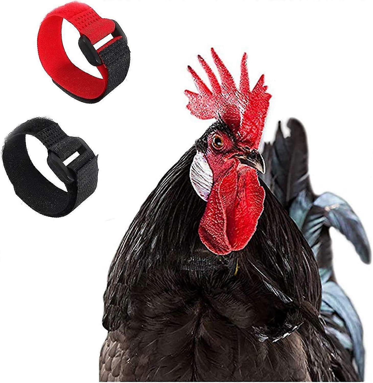 Chicken Collar Anti hook rooster collar adjustable cock collar Prevent ...