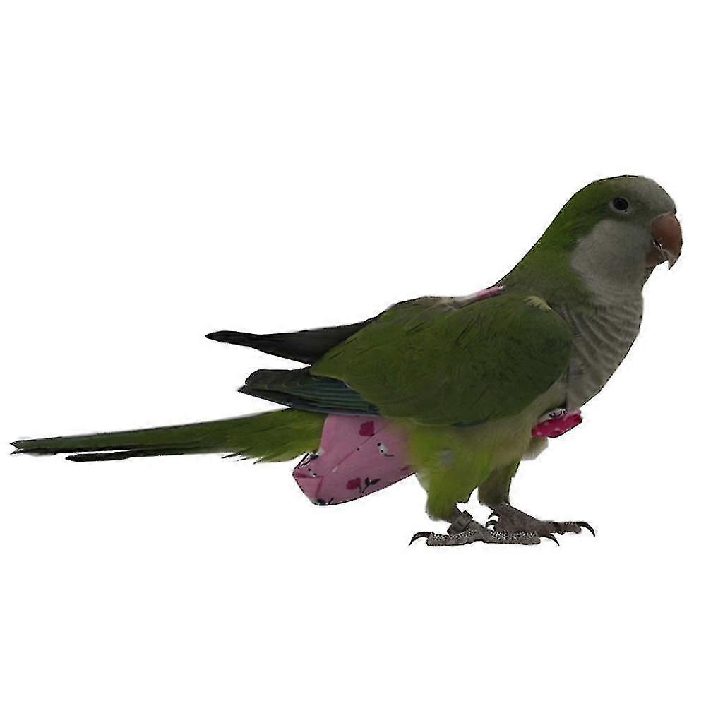 Parrot Diaper Cockatiel Pigeons Pet Bird Nappy Flight Pants Clothes ...