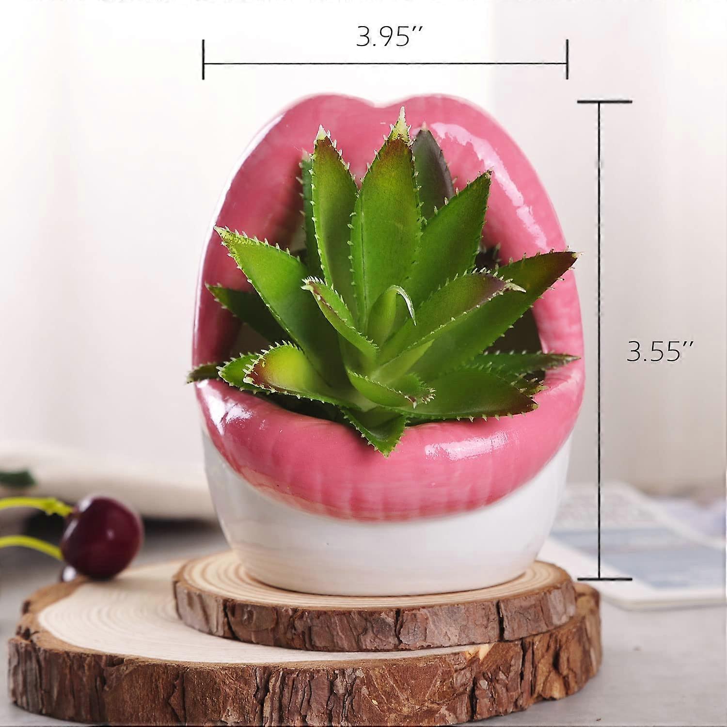 Sexy Lips Planter Pot, Ceramic Succulent Planter - Pink | Fruugo UK