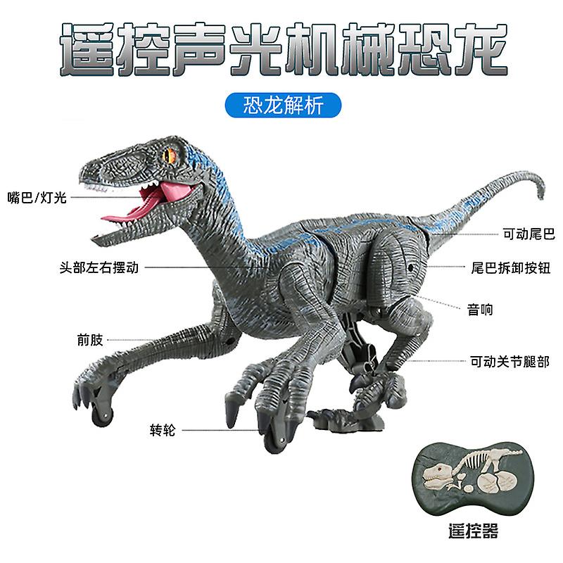 Miman Childrens 2.4g Wireless Remote Control Velociraptor Electric ...