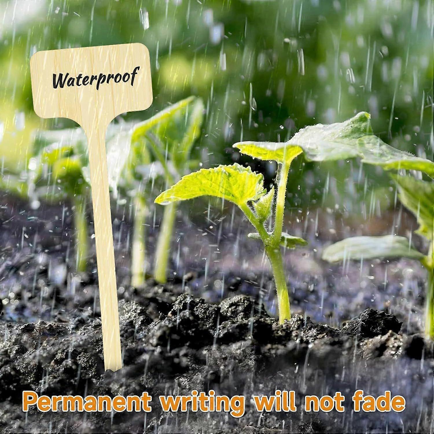 Plant Labels,Bamboo Plant Labels,7 Inch Tall Plant Tags Labels,30 Pcs ...