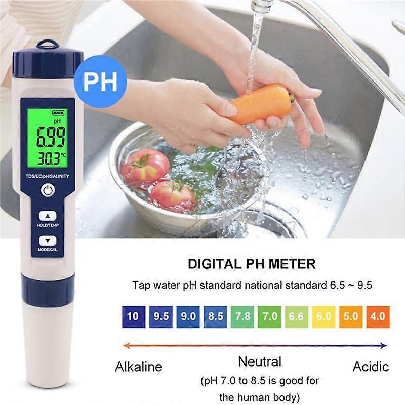 Pool Salt Tester, Digital Salinity Meter, High Accuracy 5 In 1 Salinity ...