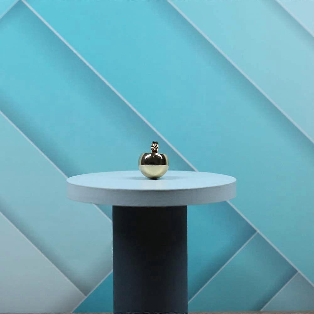 Tippe Top Metal Flip over Top Stainless Steel Spinning Top Amazing Toy ...