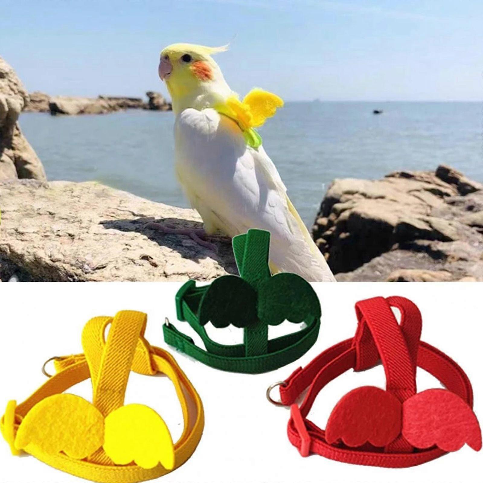 L Bird Harness and Leash, Adjustable Outdoor Flying Training Rope for ...