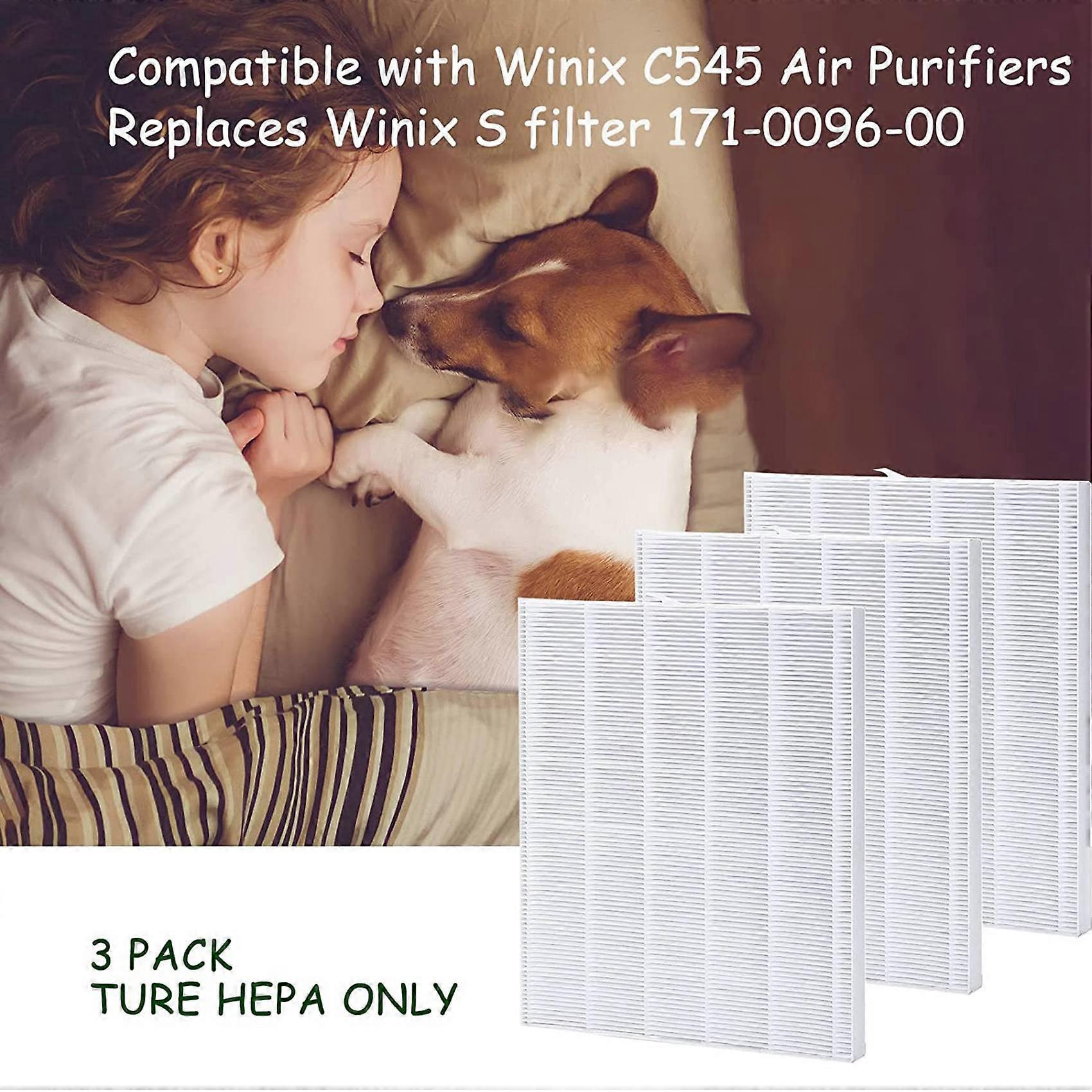 HEPA Replacement Filter S for C545 Air Purifier, Replaces S Filter 1712 ...
