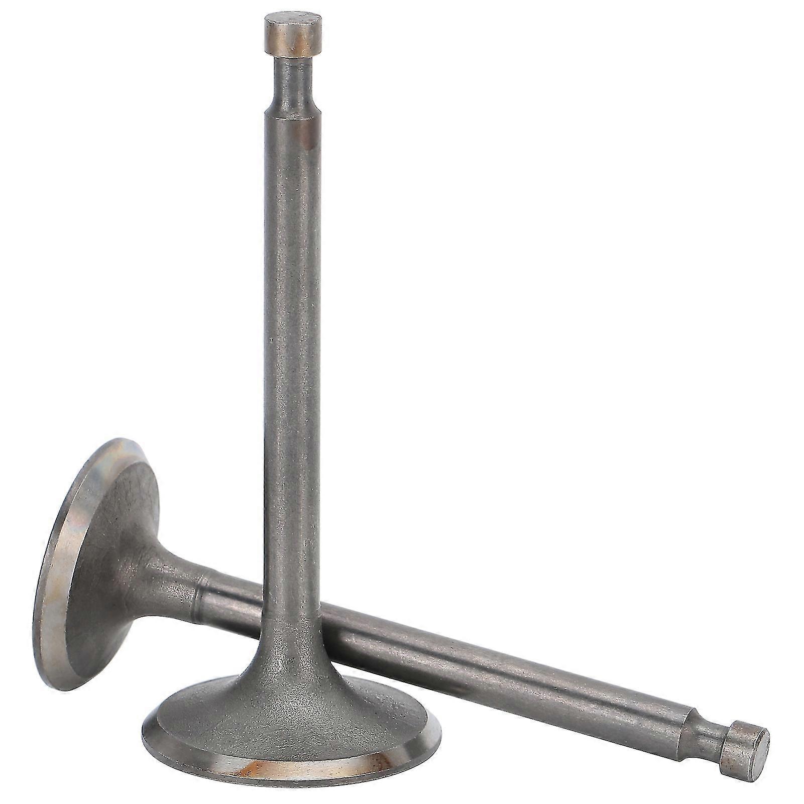 Valve Set Intake Exhaust Valves Replacement Parts compatible with ...