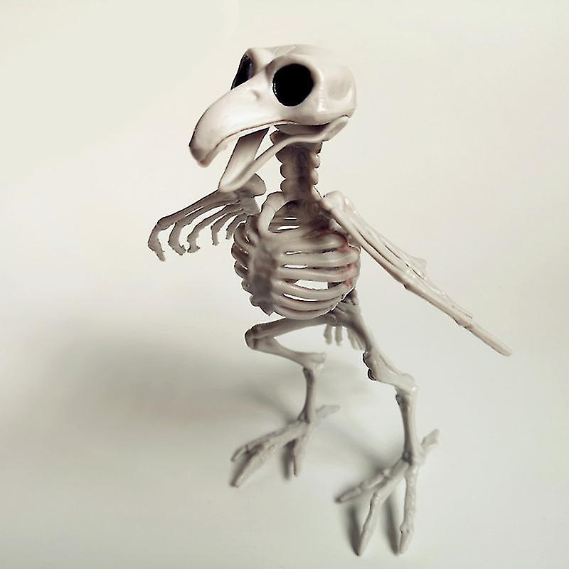 1pcs Raven Skeleton Prop | Fruugo UK