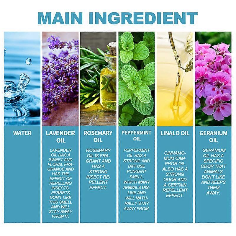 Peppermint Repellent Mice Repeller Mouse Repellent Spray Natural Armor ...