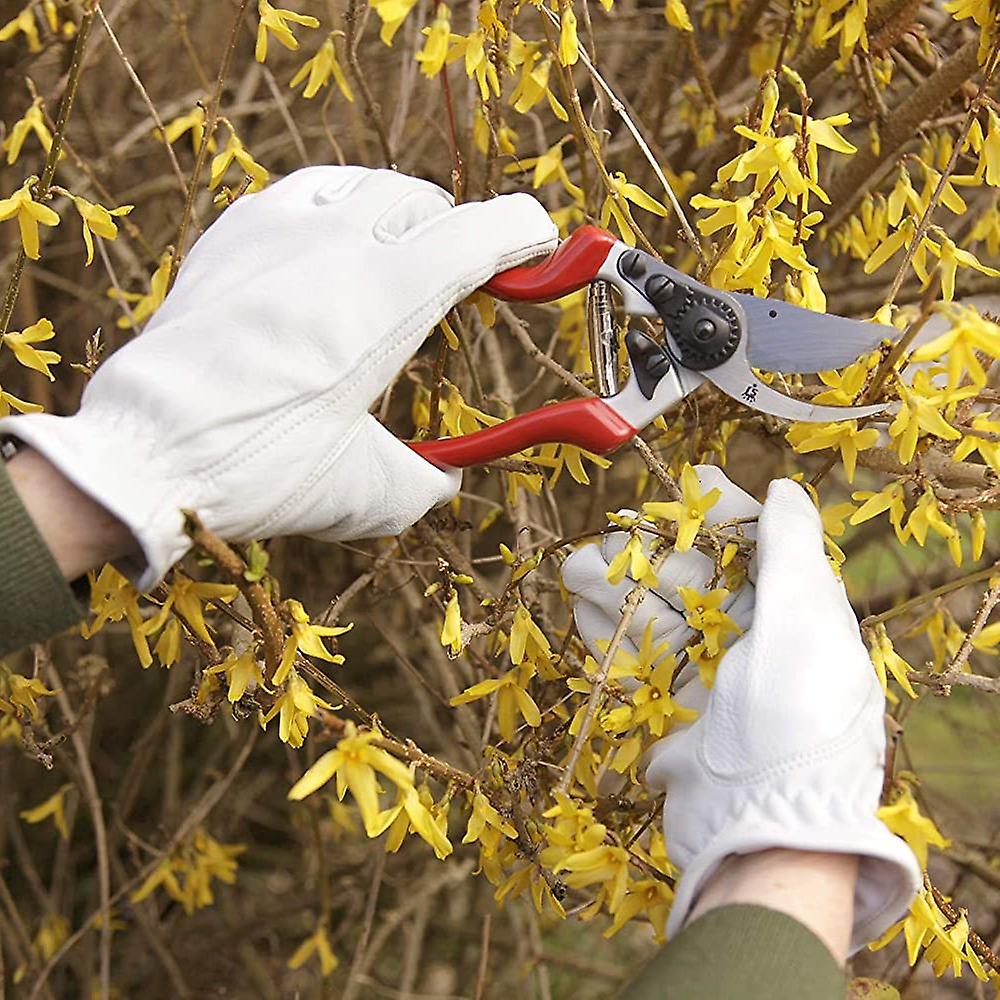 Pruning Snips - Floral Scissors And Bypass Pruners - Precise Pruning ...