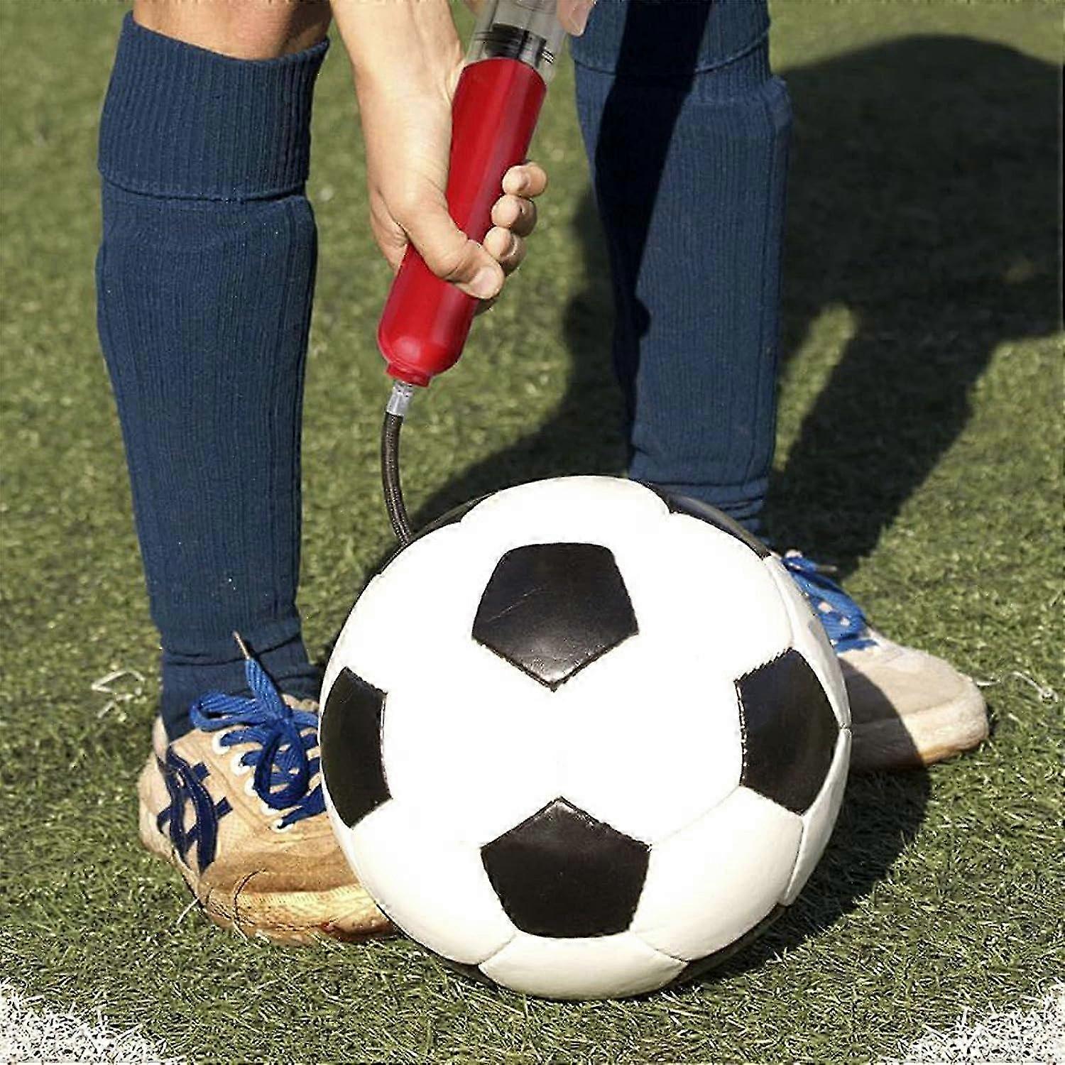 Multi-Purpose Sports Ball Pump for Basketball, Football, Volleyball ...