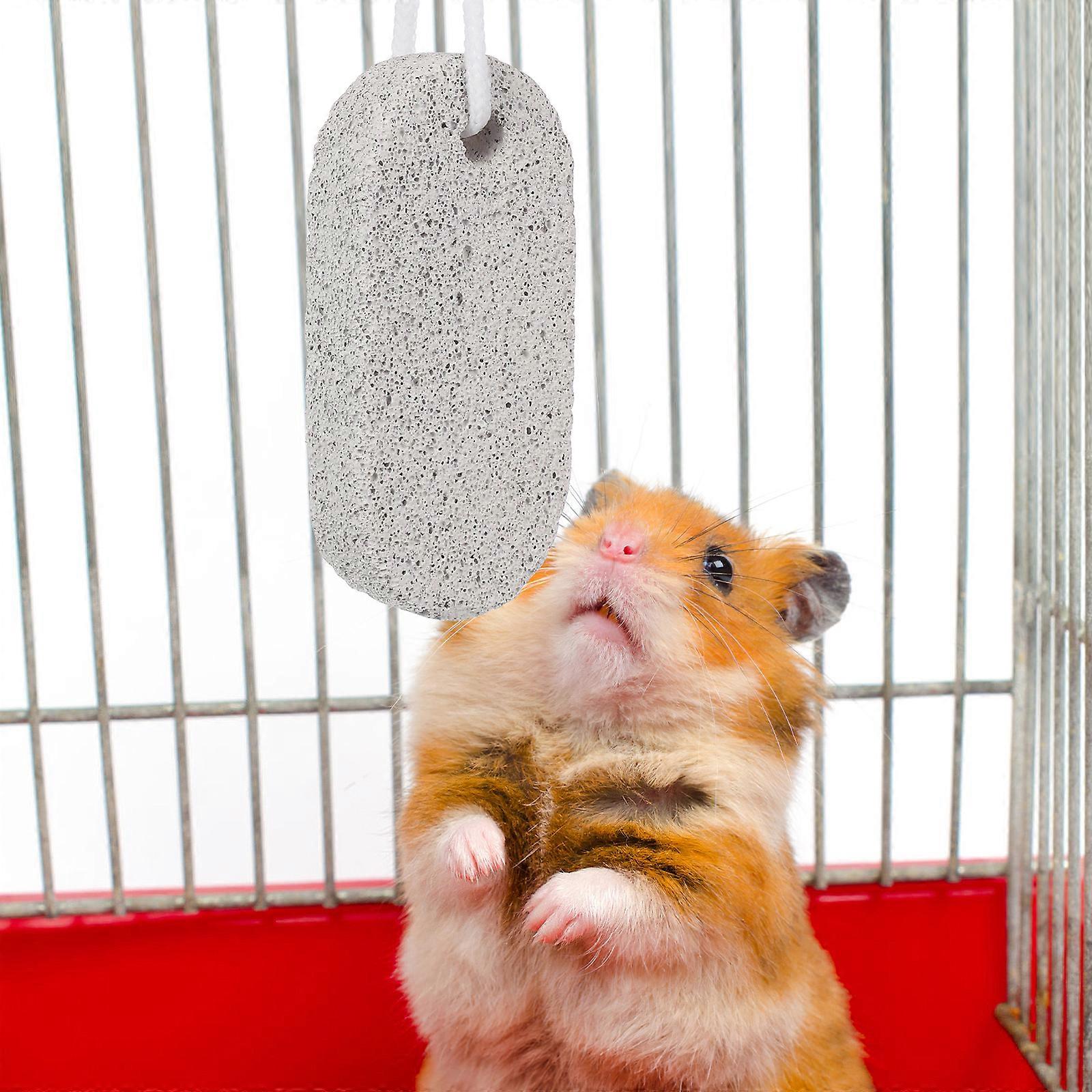 2 Pcs Pet Teeth Grinding Stone Calcium Mineral 9x4.5cm Pet Molars Stone ...