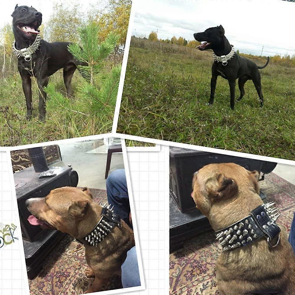 QQDD PET ARTIST Width Luxurious Leather Sharp Spike Studded Dog Collar ...