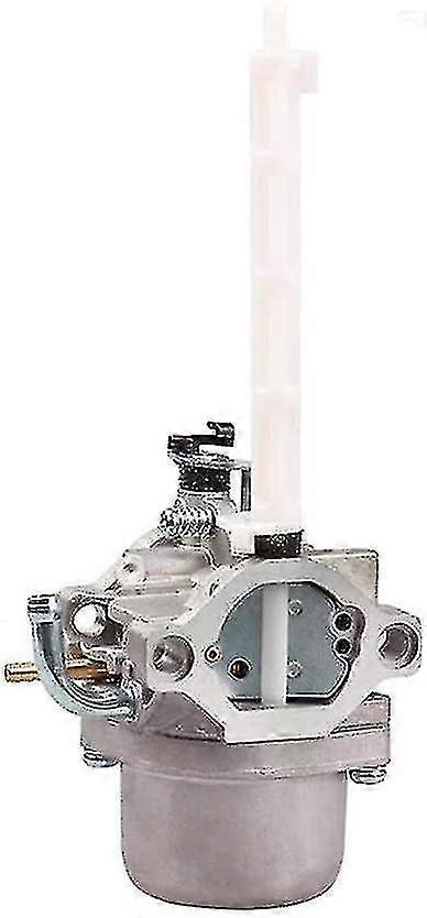 796122 Carburetor For Briggs & Stratton 793161 696737 794593 20e114 ...