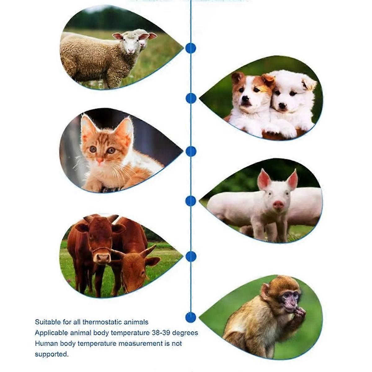 Pet Dog Cat Ear Thermometer Animal Thermometers for Cats Animal ...