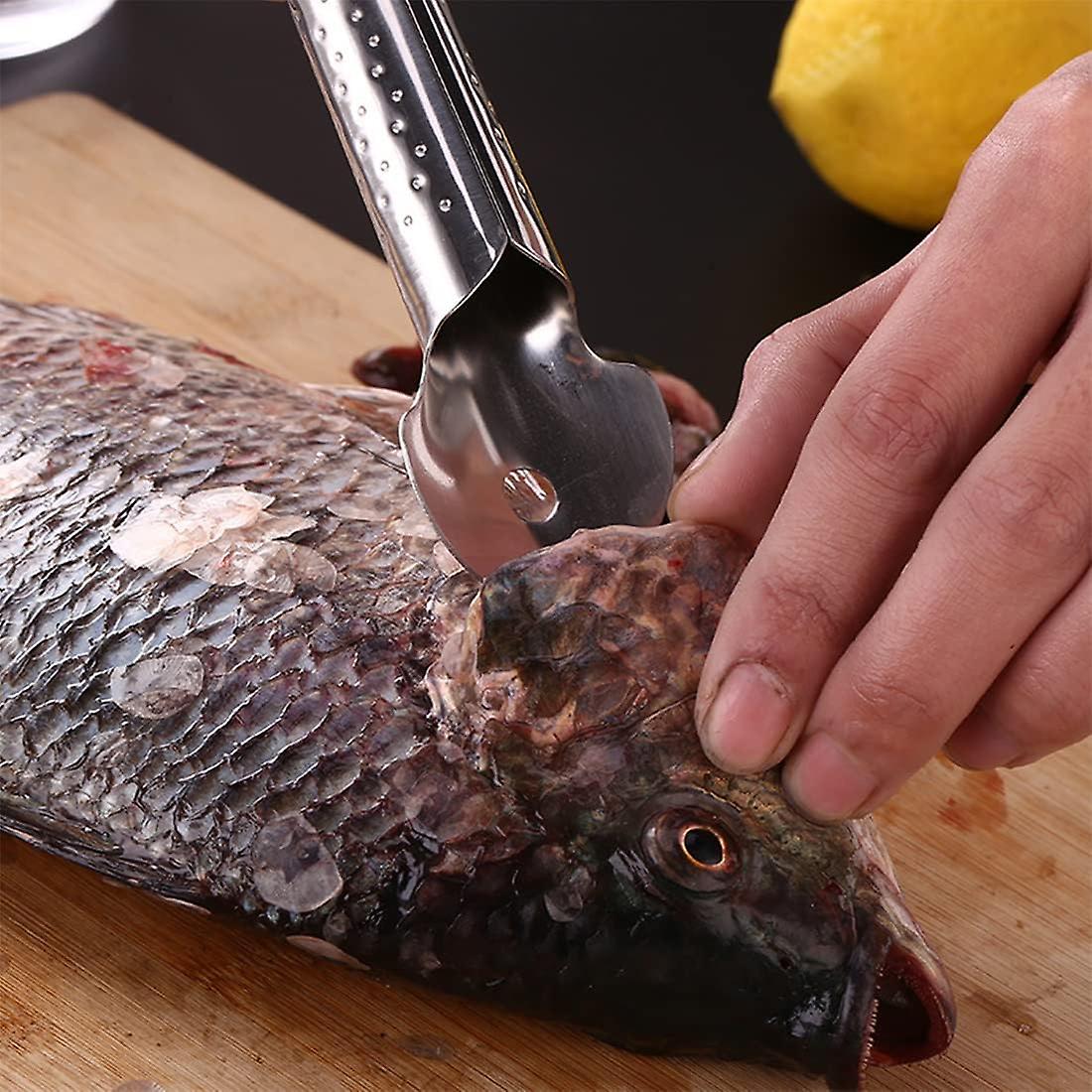 Fish Scale Scraper, 304 Stainless Steel Fish Scales, Remove Fish Scales, Fish Scale Scraper ...