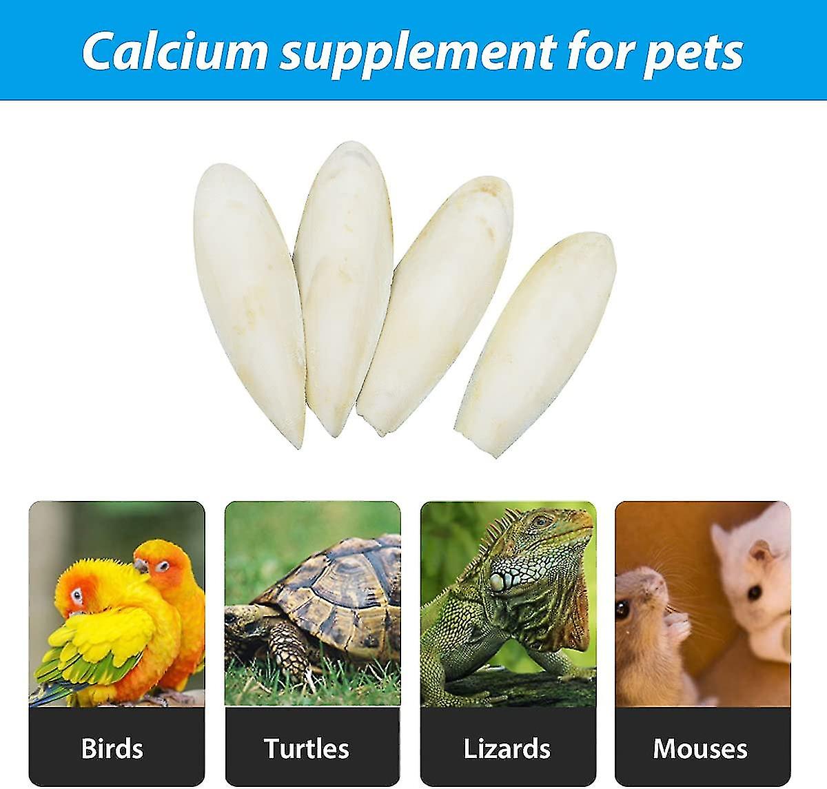 4 PCS Cuttlefish Bone(13-16cm), Birds Parrots Chewing Toys Birds Chew ...