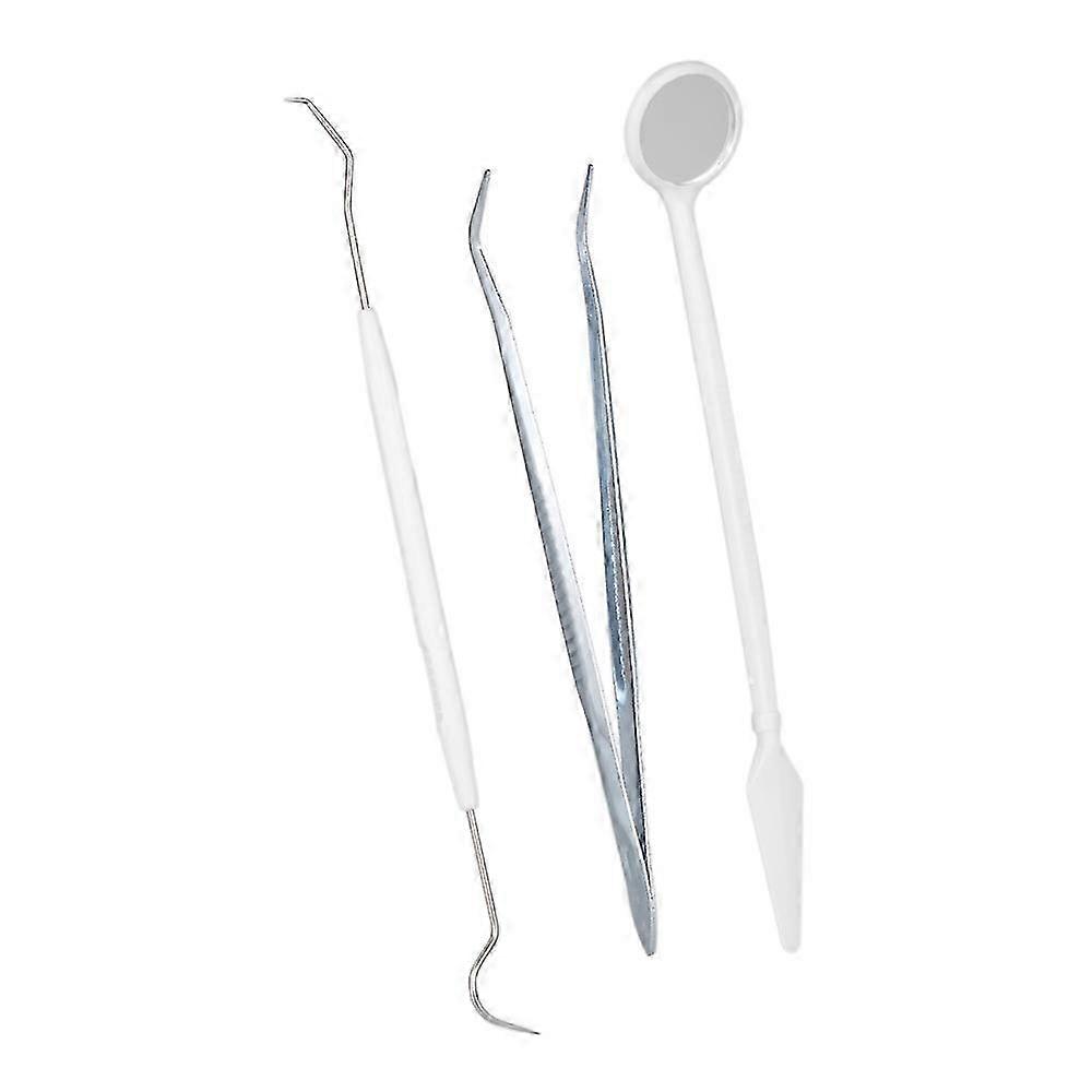 3pcs Stainless Steel Dental Tools Kit Double Head Dental Tool Teeth ...