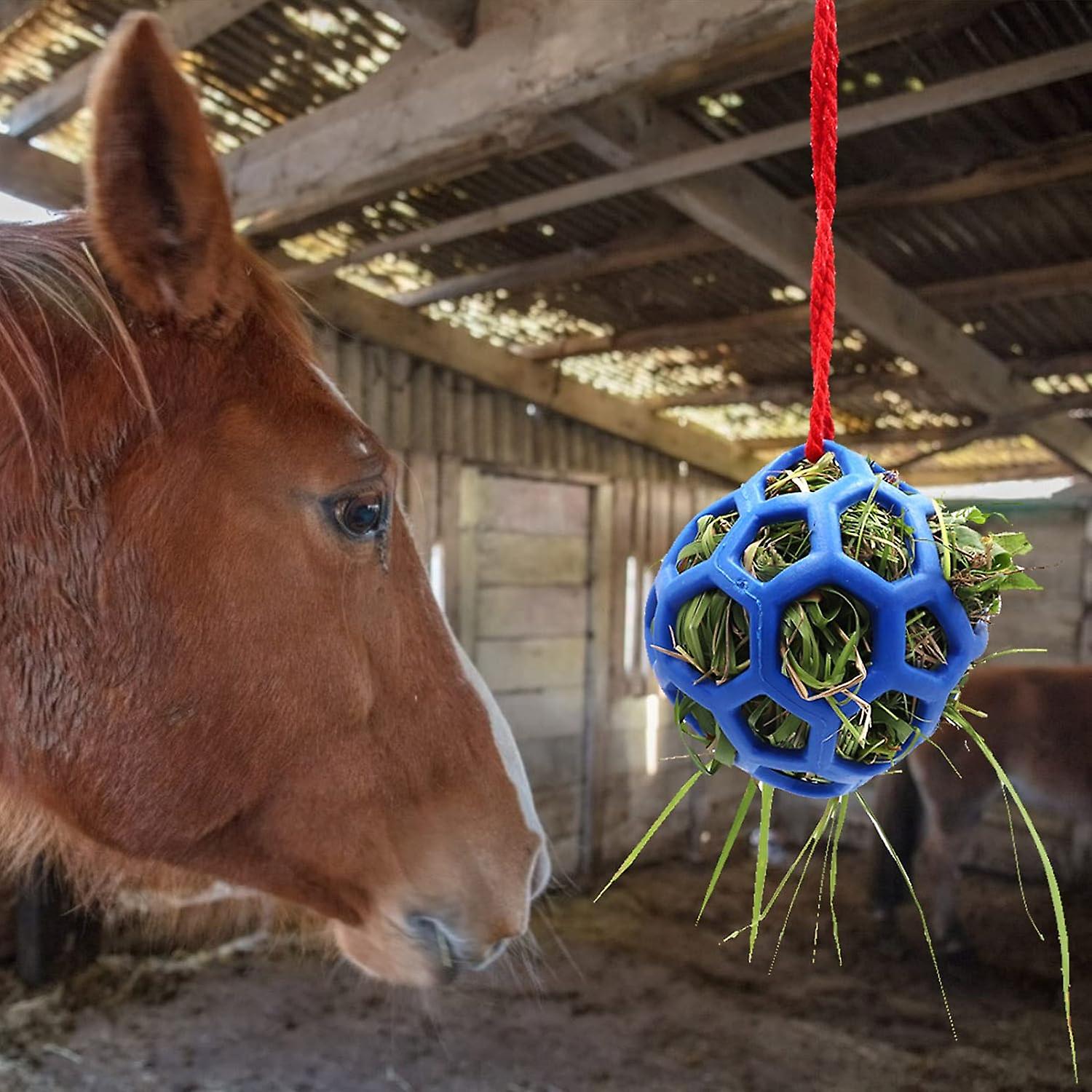 2 Pack Hay Bales for Horses, Goats, Sheep, Stress Relief (Blue) | Fruugo UK