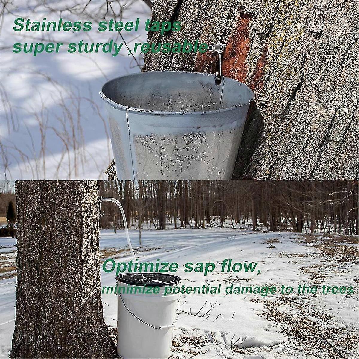 Stainless Steel Maple Syrup Faucet Kit, Maple Tree Faucet, Stacking ...