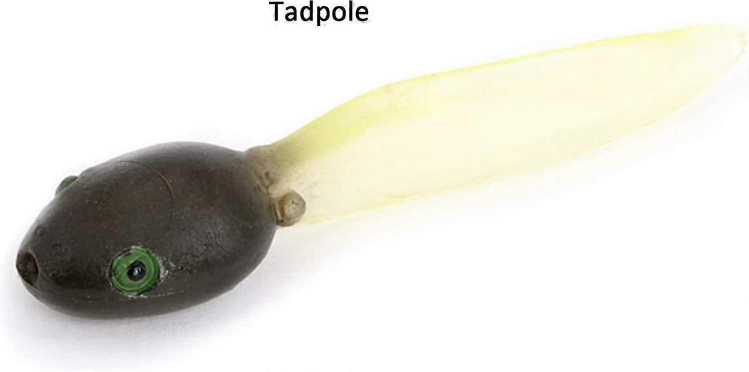 Animal Biological Model Growth Cycle, Growth Stage Life Cycle Frog Life ...