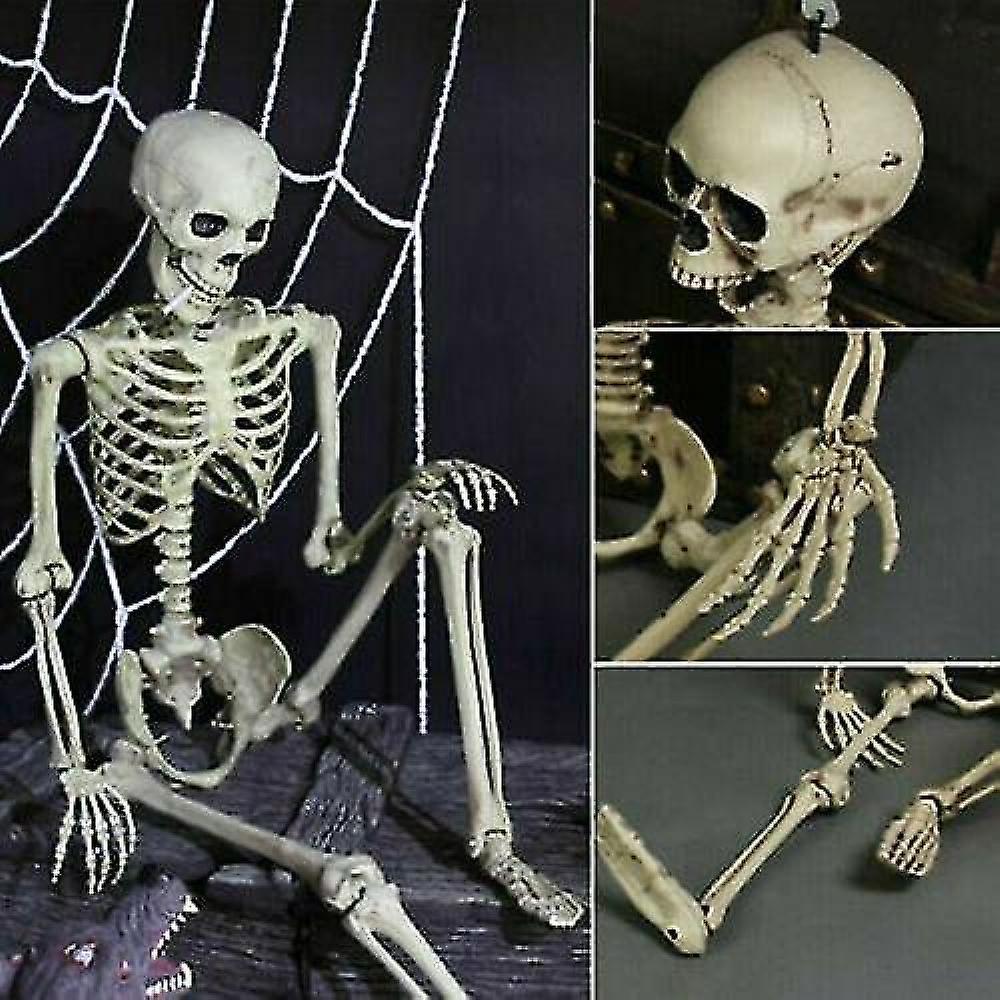 Halloween Human Skeleton Oversized Poseable Full Life Size Decoration ...