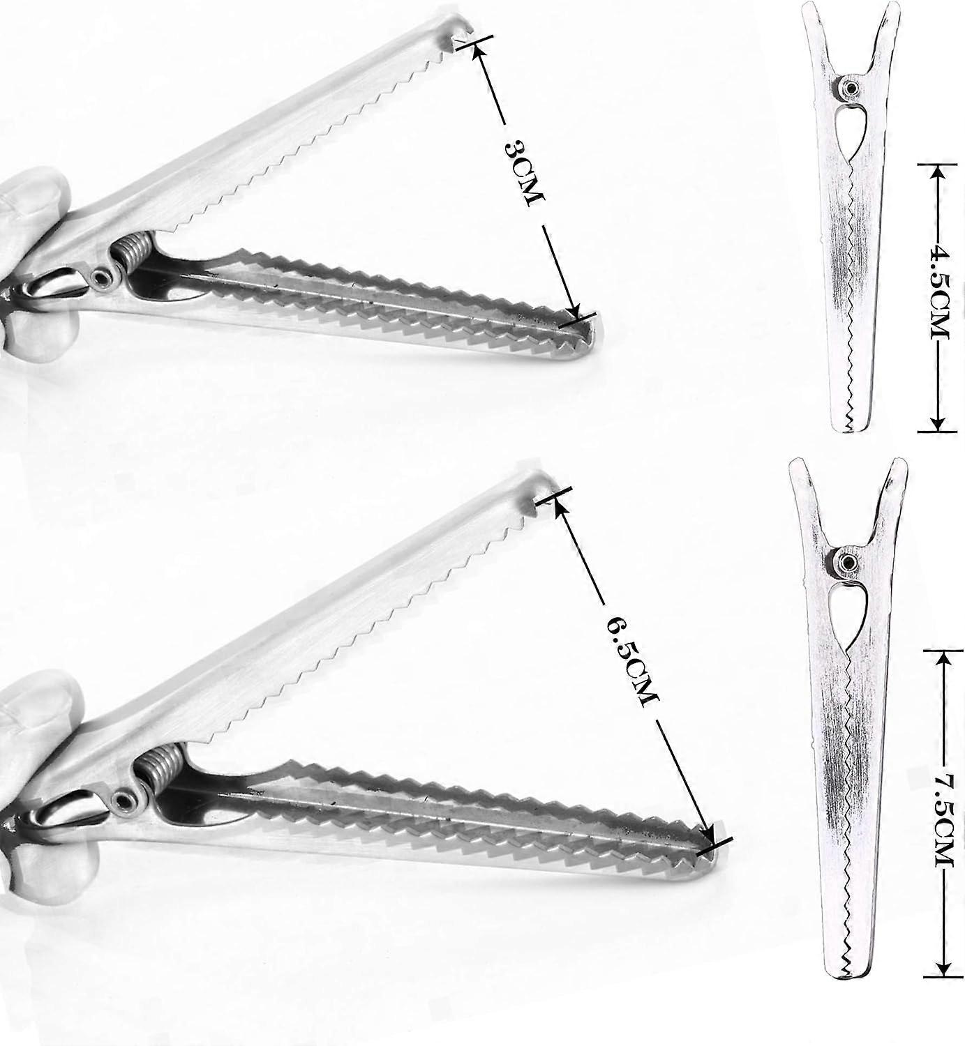 10 PCS Metal Sachet Clips Stainless Steel Powerful Spring Clips Close ...