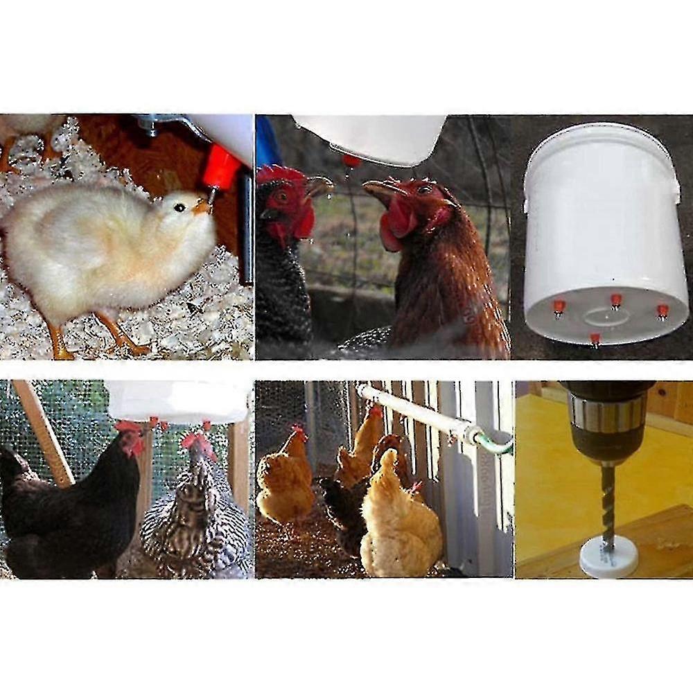 50pcs Poultry Chicken Nipple Drinker Spring Type Bird With Automatic ...