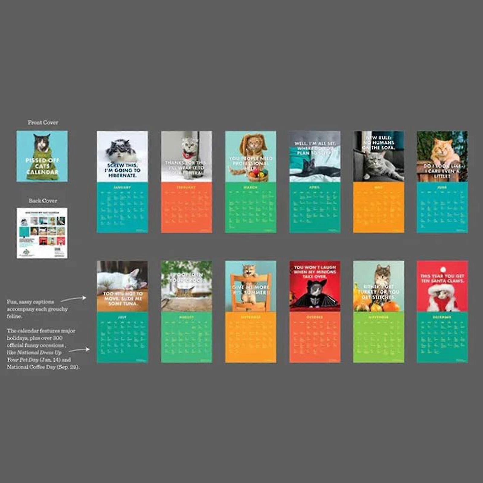 2025 Pissed-Off Cats Calendar Angry Cats 2025 Calendar | Fruugo UK